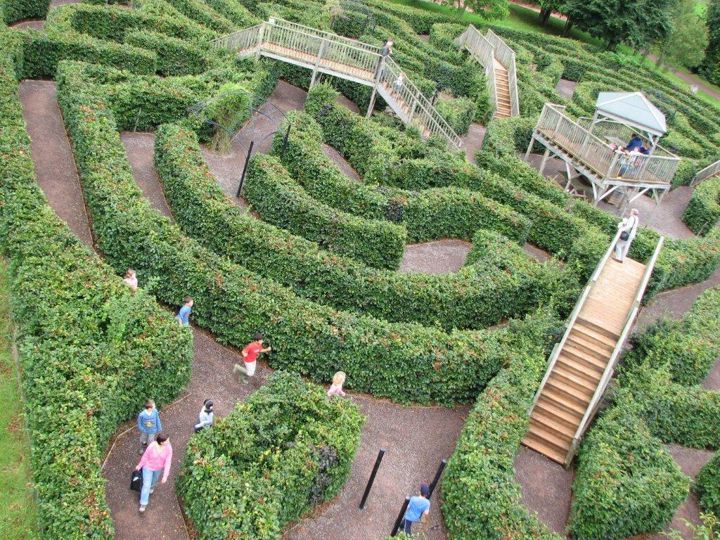 Plan your visit