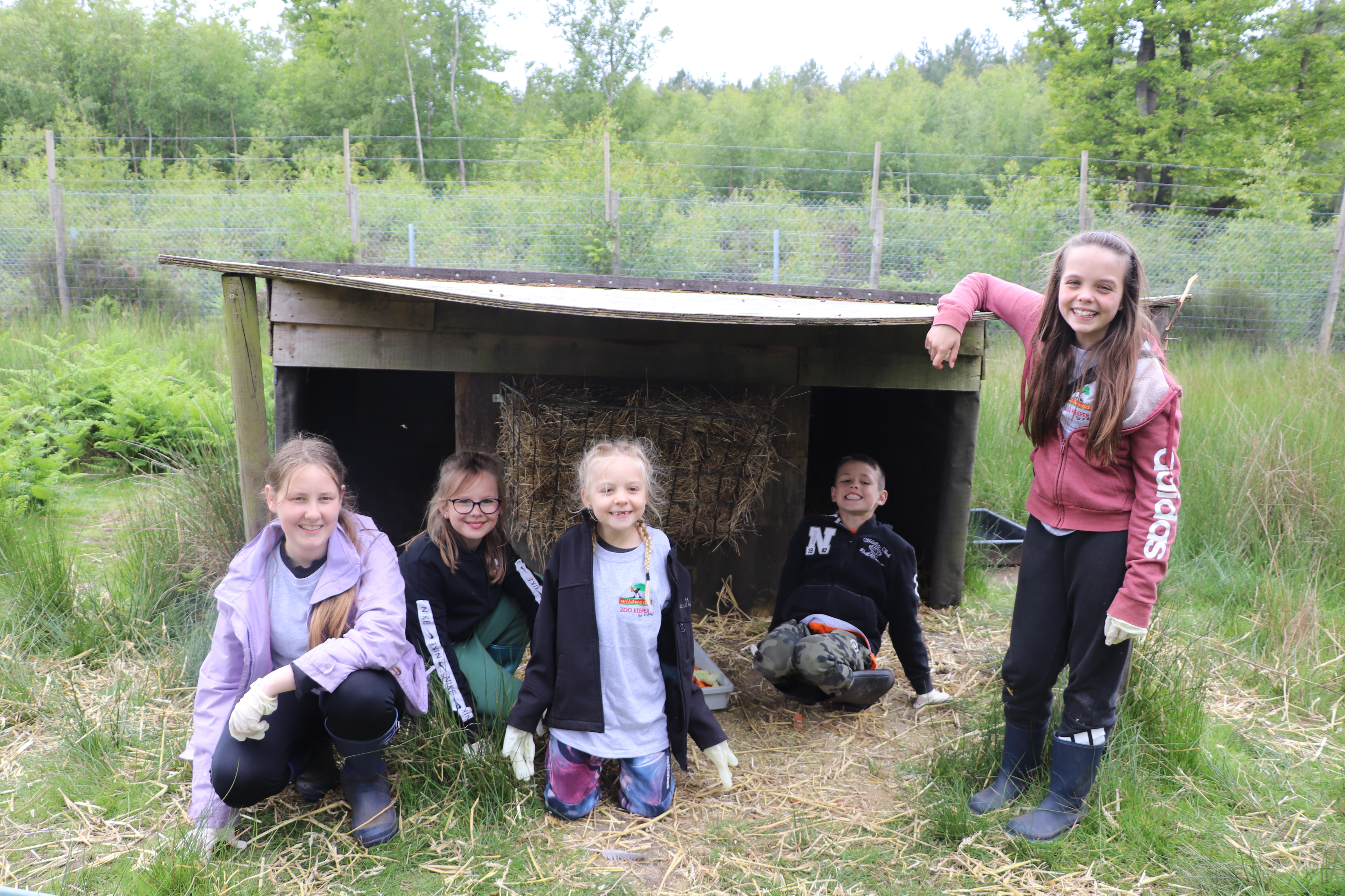 Junior zookeeper experience